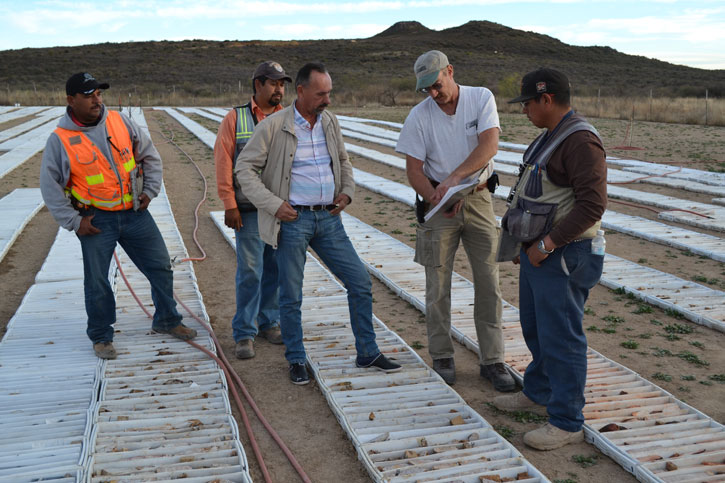 Metals News - Ron Tremblay, President and CEO reports - Levon Resources ...